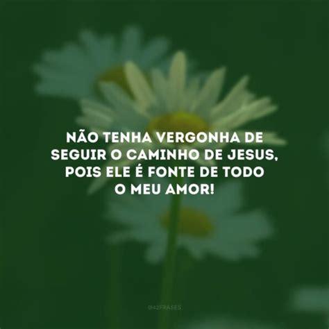 50 Frases Para Jovens Cristãos Que Renovam A Fé Dos Mais Novos