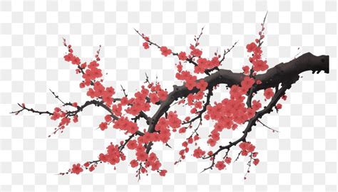 Plane PNG Images Free Photos PNG Stickers Wallpapers Backgrounds Rawpixel