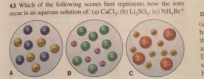 Solved Which Of The Following Scenes Best Represents How The