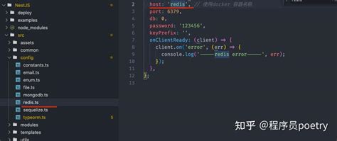 手把手教你学会部署nestjs项目 知乎