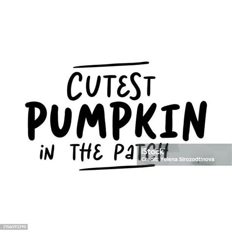 손으로 그린 추수 감사절 타이포그래피 포스터입니다 축하 문구 Cutest Pumpkin In The Patch는 엽서 가을 아이콘 로고 또는 배지에 사용됩니다 가 벡터