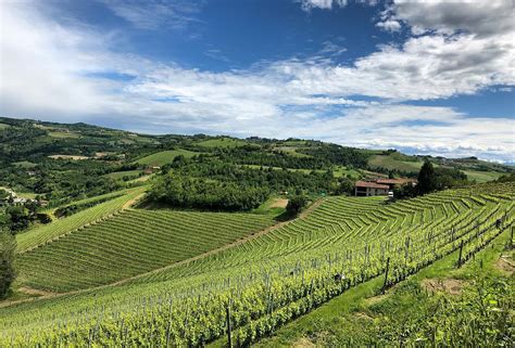 G D Vajra Barolo Albe 2020 Nicholas Wines