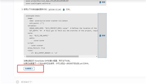 通过 SonarQube审查gitlab项目上的代码并实现CI CD 宝英姐姐 博客园