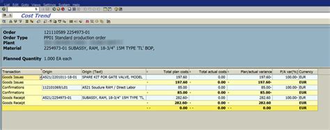 Make To Order Manufacturing Planning Strategy With Planned Cost