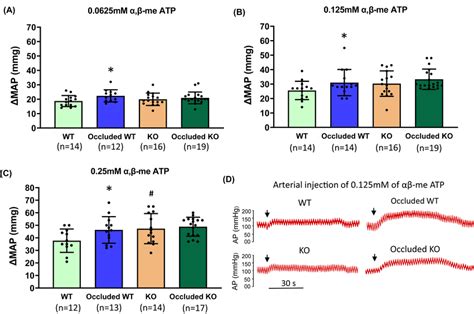 The Pressor Response Evoked By Arterial Injection Of αβ‐me Atp In The