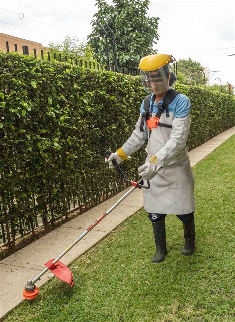 Mantenimiento De Jardines Y Zonas Verdes Serproaseo