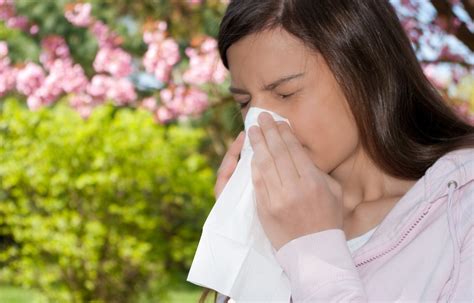 Alergias Respiratorias Síntomas De La Alergia En Las Vías Respiratorias