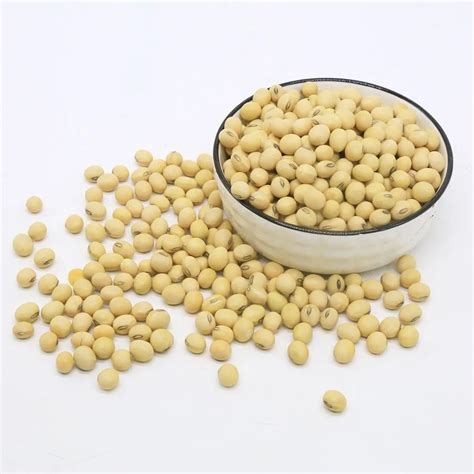 Natural Organic Soybean Packaging Size Loose At Rs 52kg In Vadodara