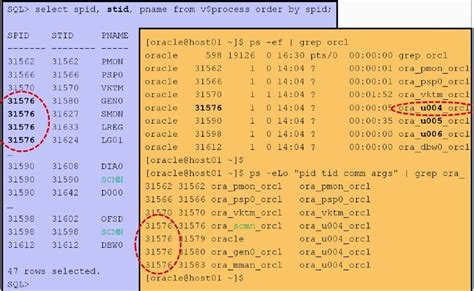 Oracle Oracle Database 12c Performance Enhancement Multiprocess