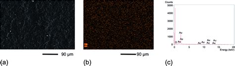 a sem micrographs obtained with 250× magnification b edx surface