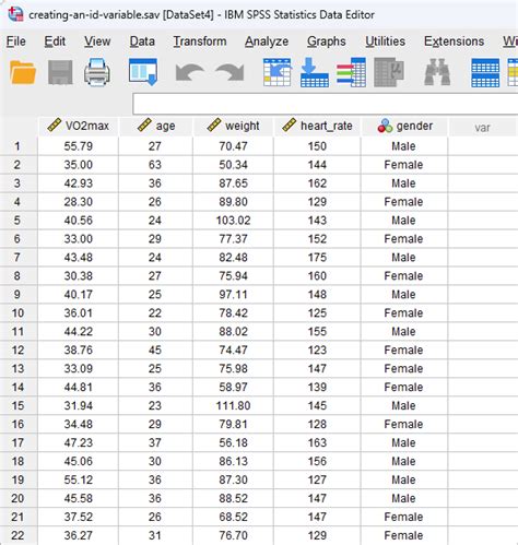 Creating An Id Variable In Spss Statistics Procedure To Create An Id Variable In Spss