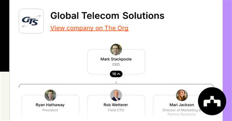 Global Telecom Solutions Org Chart Teams Culture And Jobs The Org