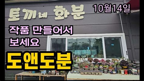 10월14일 토끼네화분 도앤도분 예운분 Youtube