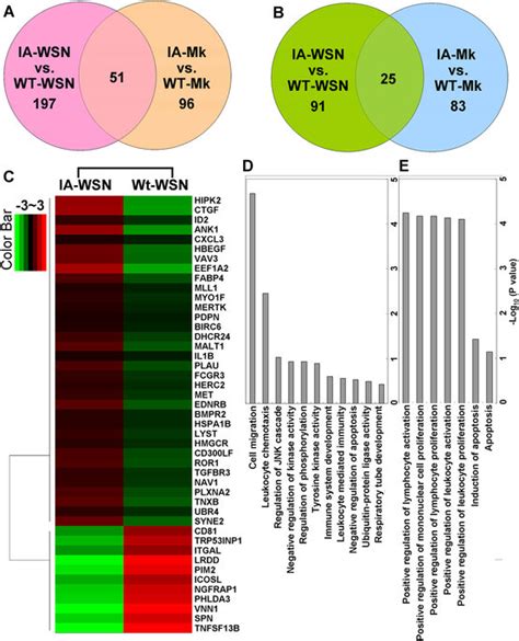 Transcriptomics Analysis Of The Peritoneal Macrophages From Mice Download Scientific Diagram
