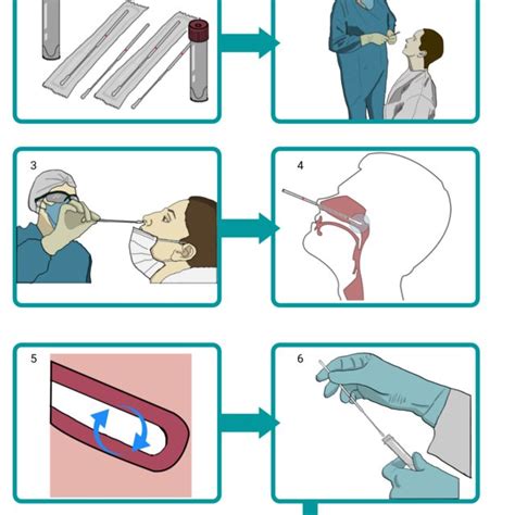 5 Passo a passo para posição prona usando a manobra do envelope Download Scientific Diagram