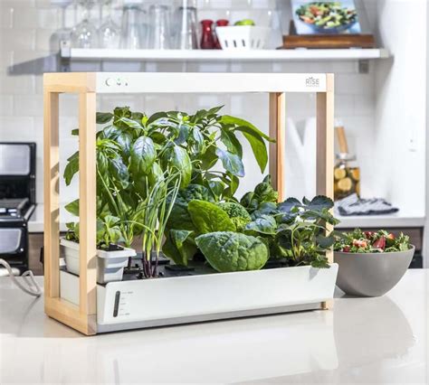 The 7 Best Indoor Garden Systems For Growing Edible Plants At Home