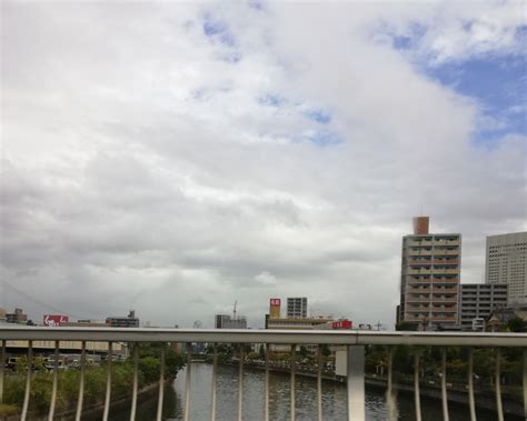 台風余波狐嫁入り惑わされ 芽衣子の徒然