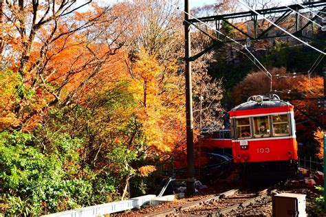 箱根登山鉄道 紅葉2018 knjrの日記