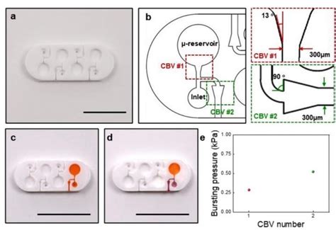 Wearable Microfluidic Chip For Colorimetric Sweat Analysis Ufluidix