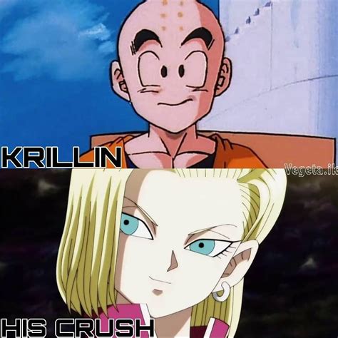 Dbz Memes Android 18 Dbz Memes Android 18 Krillin Rebirth Lazuli