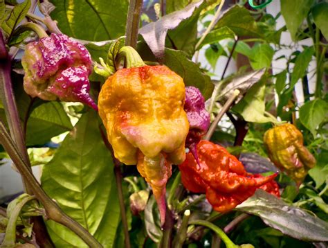 Neo4j Neo4j Added A New Photo