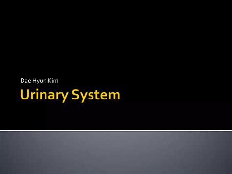 Urinary System PPT