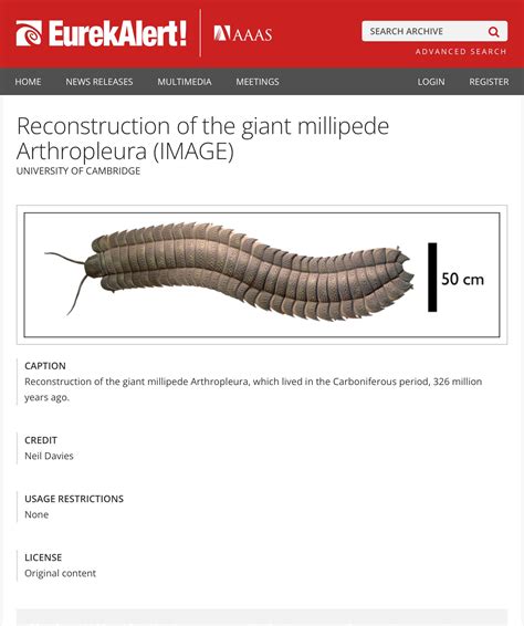 86 Foot Long Fossil Millipede Found In England Fossil News The