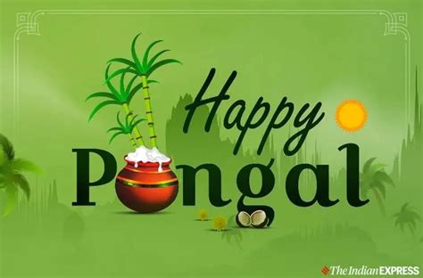 Happy Pongal 2024 பொங்கல் வாழ்த்து அட்டைகள் வாட்ஸ் அப் மெசேஜ்கள்