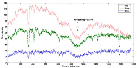 A Line Scan Of Rgb Pixel Intensity Values Along Y Axis With Fovea And Download Scientific A Line Scan Of Rgb Pixel Intensity Values Along Y Axis With Fovea And Download Scientific