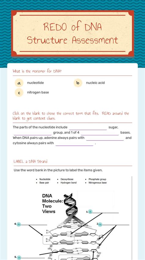 Dna Structure Worksheet Answer Nucleic Acid Context Clues Dna Molecule