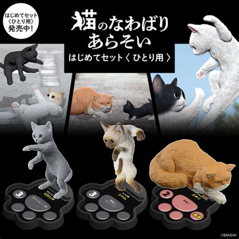猫のなわばりあらそい｜ガシャポンオフィシャルサイト