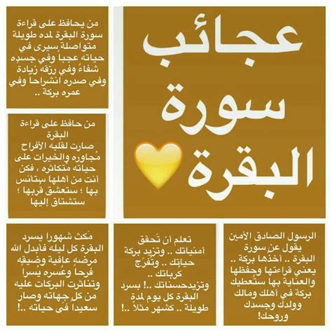 Pin By 💫سابرينا💫 On من القرآن الكريم Islam Beliefs Islam Facts