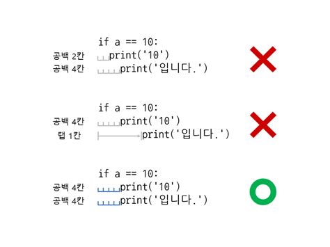 cos pro 2급 파이썬 4 4 코드 블록