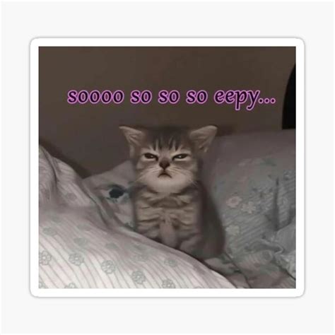 Eepy Sleepy Kitten Sticker For Sale By Usapride22 Redbubble
