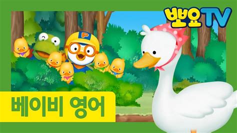 뽀로로 베이비 잉글리쉬 4화 Duck 우리 아이 첫 영어학습 뽀로로랑 타요랑 뽀요tv Youtube