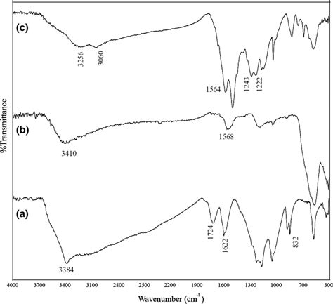 Ft Ir Spectrum Of A Go B Fe3o4go And C Fe3o4gopani Download