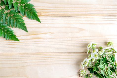 賀卡的框架背景的旗幟與鮮花和空間的文案範本橫幅與花為設計花橫幅 照片檔及更多 上衣 照片 上衣 問候 在上面 Istock