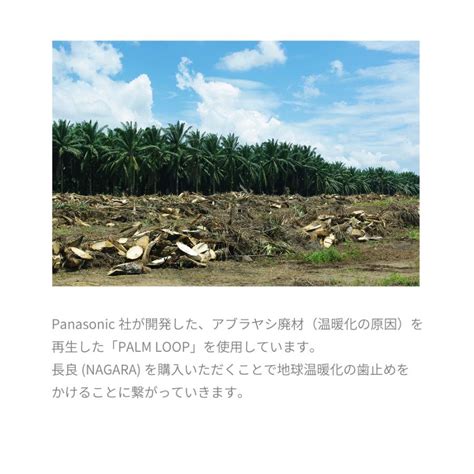シングル 長良 Nagara 4杯収納 大容量収納ベッド 棚・コンセント付き Palm Loop（nagara S） Nagara S