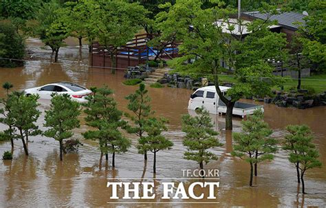 현대해상 장마철 빗길 교통사고 위험 122배 높아 비즈팩트 기사 The Fact