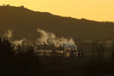 Mickey Duh 黃昏列車 2022郵輪式列車 海線五寶 5802次 Dt668 蒸気機関車