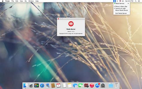 Redis Server For Mac OS X