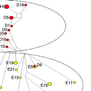 Minimum Spanning Tree MStree Generated From The Analysis Of 43