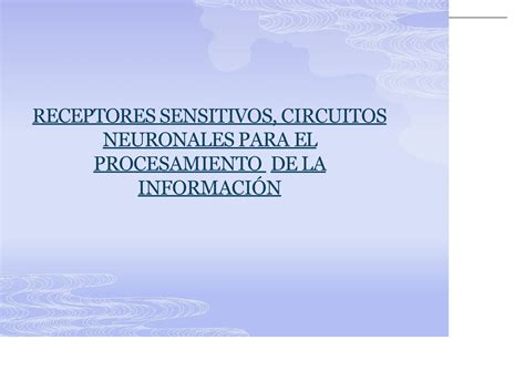 Sumario Circuitos Neuronales Medicina Stuvia Us