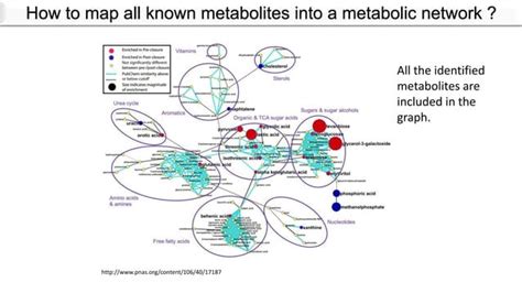 Metabolic Network Visualization Concepts Pptx
