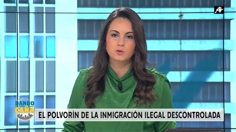 Los ilegales NO tienen derecho a entrar en España delinquir violar y robar YouTube