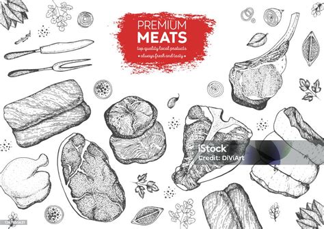 고기 평면도 프레임입니다 벡터 일러스트입니다 새겨진 디자인 손으로 그린 그림입니다 고기 디자인 서식 파일의 조각입니다 드로잉에 대한 스톡 벡터 아트 및 기타 이미지 Istock