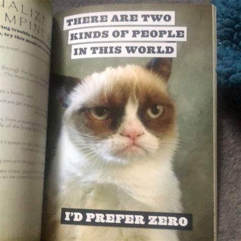 Grumpy Cat Other Grumpy Cat Book A Grumpy Book Mbr Poshmark