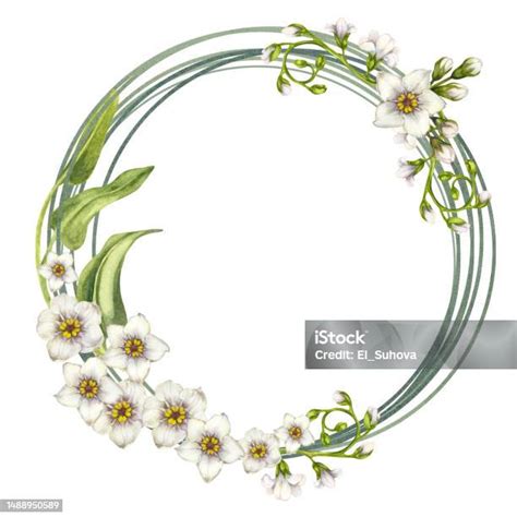 手描きの水彩白のワスレナグサの花の丸いフレームと緑の枝と草母の日父の日バレンタインデー誕生日春と夏の招待状花柄のタグ イラストレーションの