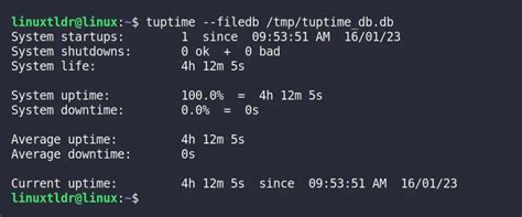 Check Historical And Statistical Uptime Of Linux