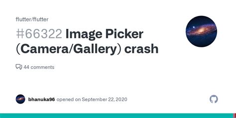 Image Picker Cameragallery Crash · Issue 66322 · Flutterflutter · Github